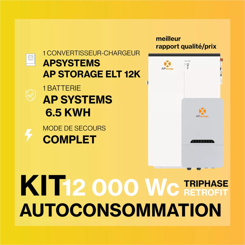 APSystems - Kit solaire AP Storage ELT-12K - Convertisseur-Chargeur ...